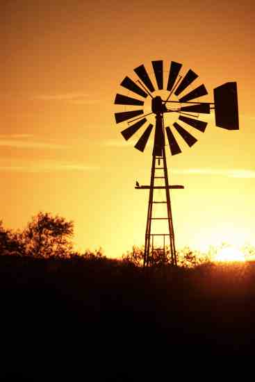Windmills Harvest the Breeze - Grit | Rural American Know-How